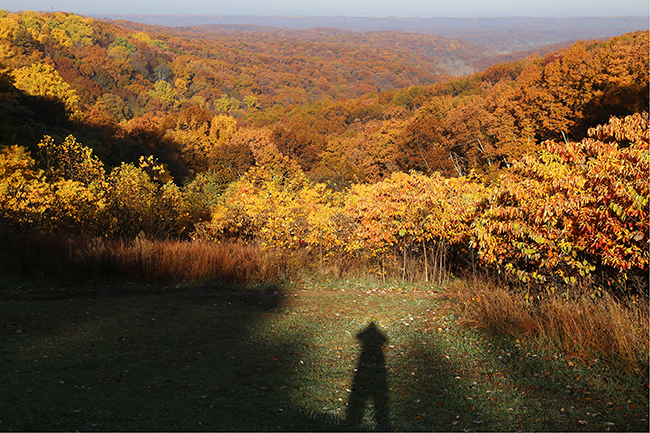The Best Places to See Colorful Fall Leaves in Bloomington and Beyond ...