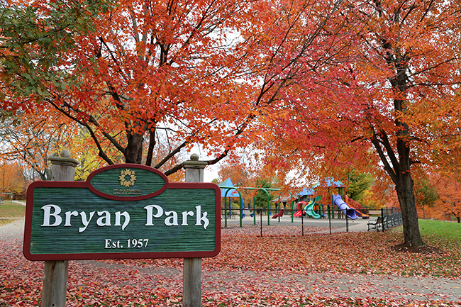 The Best Places to See Colorful Fall Leaves in Bloomington and Beyond ...
