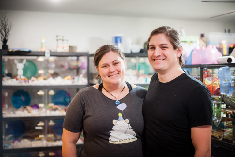 The Pipsqueakery—A Rescue Center for Homeless Hamsters (VIDEO/PHOTO ...