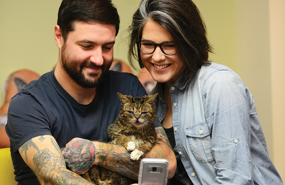 Lil Bub—Still Going Strong & Starring in a New Movie! - Bloom Magazine