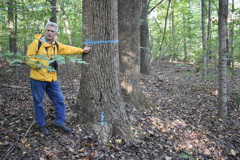 Indiana Forest Alliance—Working to Preserve Indiana’s Native Ecosystem ...