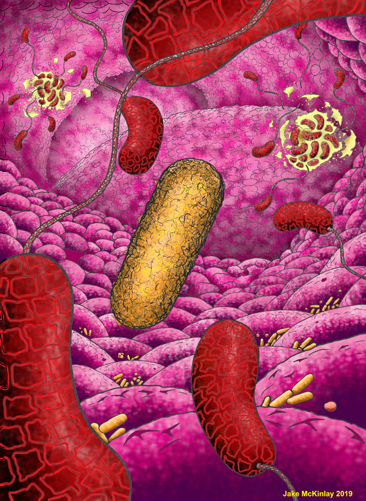 Science Prof Creates Art to Make Biology Enjoyable | Bloom Magazine