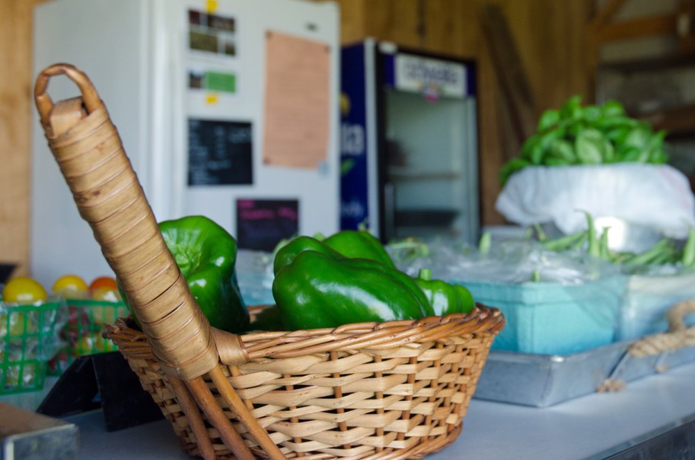 Local Farm Stand Offers Food on Honor System - Bloom Magazine