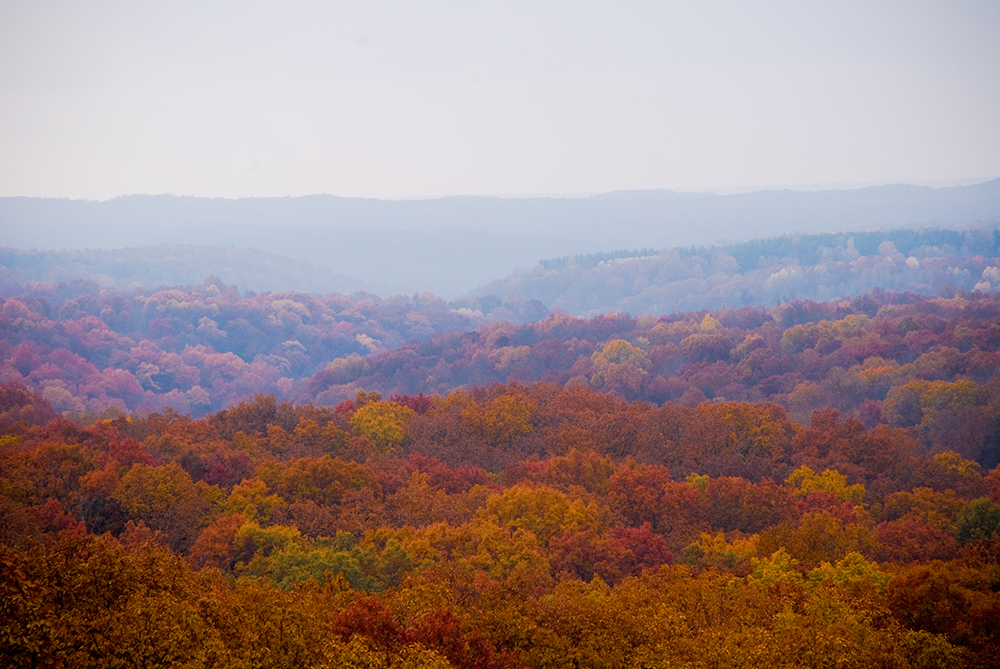 The Best Places to See Colorful Fall Leaves in Bloomington and Beyond ...
